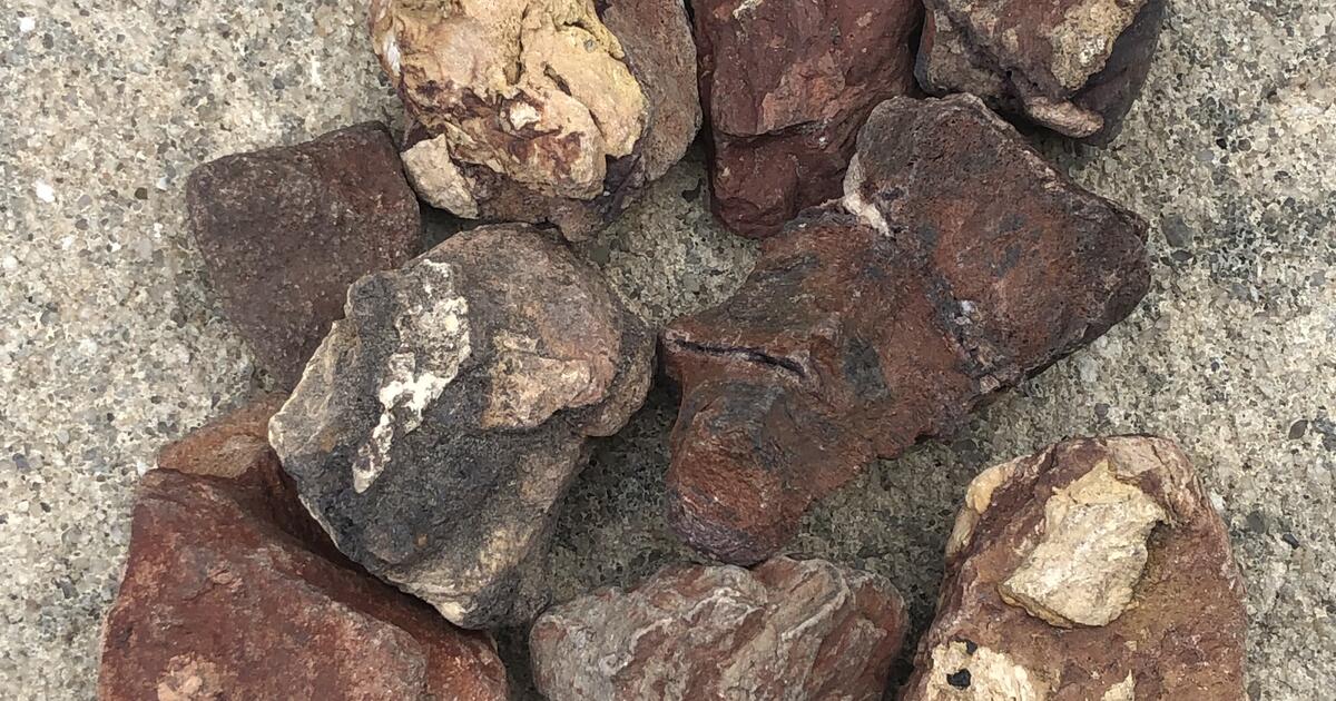 Landscape stone Timberlite/Firelite beautiful! for $5 in Altamonte ...