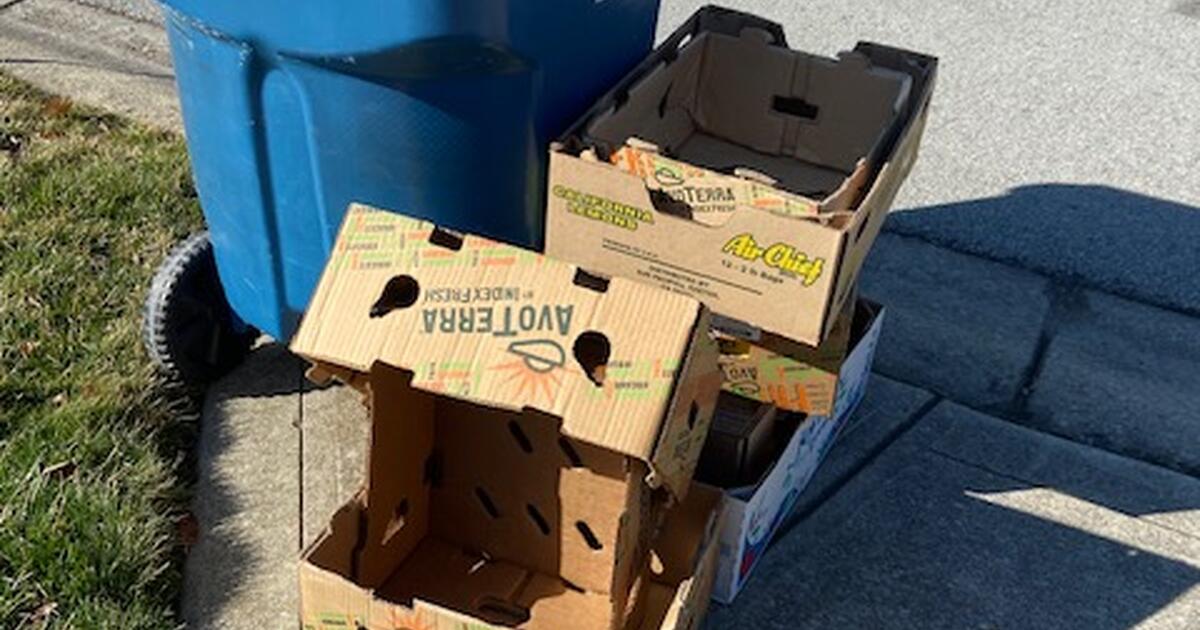 curb alert - clean sturdy moving boxes & big planters for Free in ...