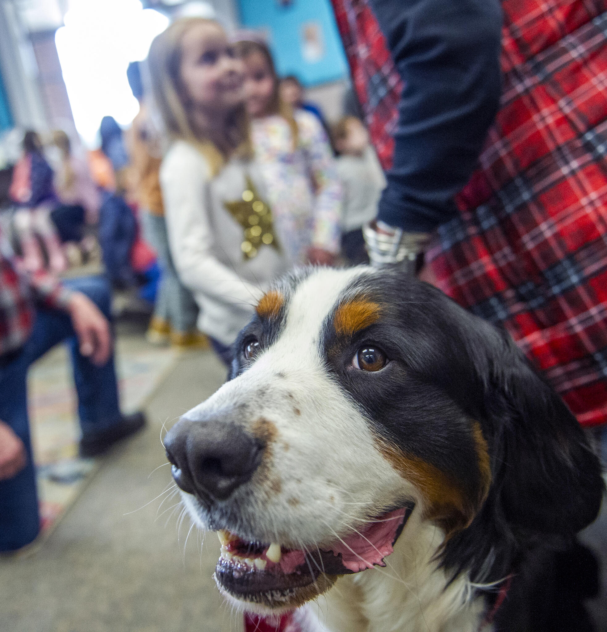 Camano Island author Michelle LeFevre read her children's book "On Kona ...