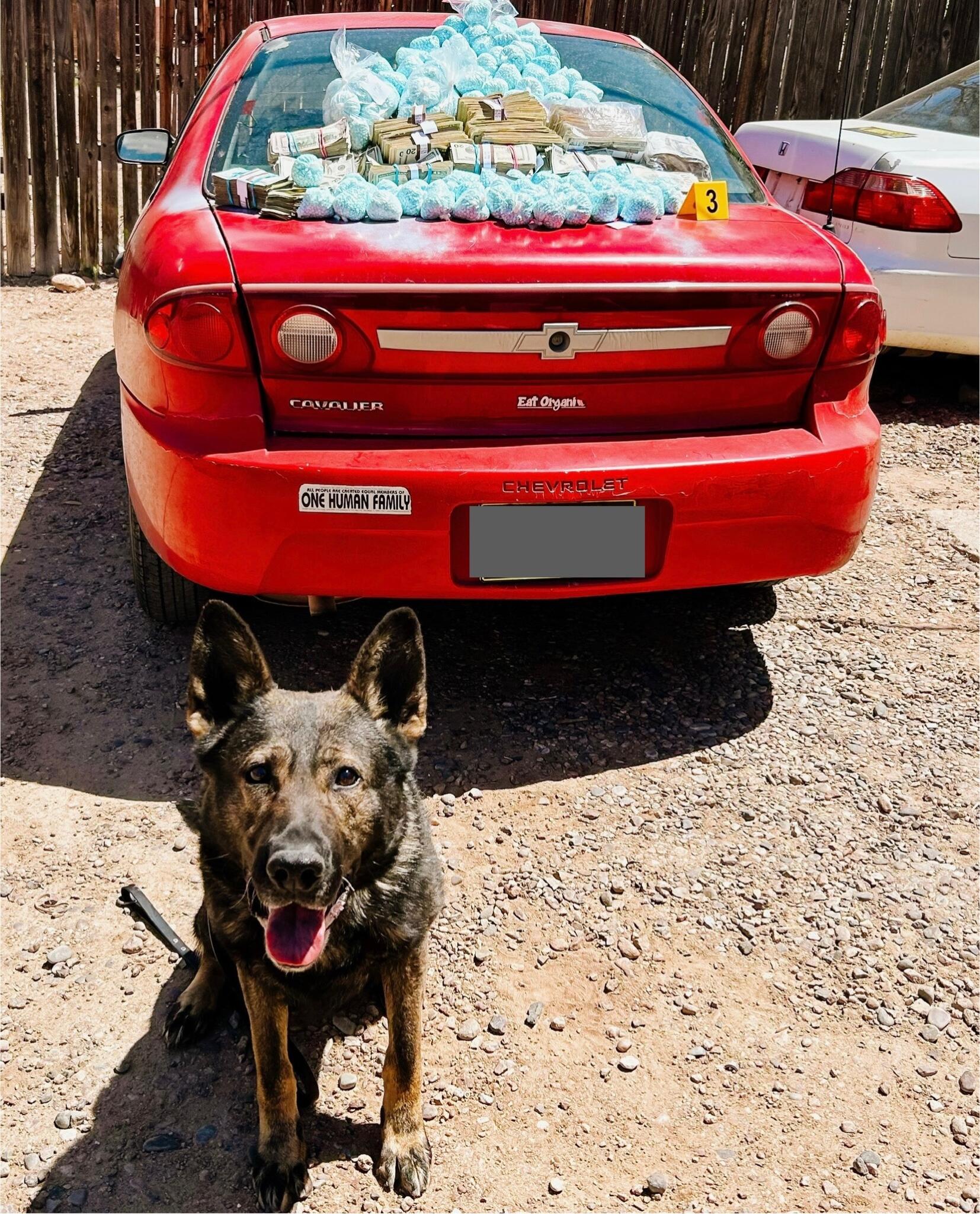🐕 K9 Ayke and his Handler assisted the Drug Enforcement Administration ...