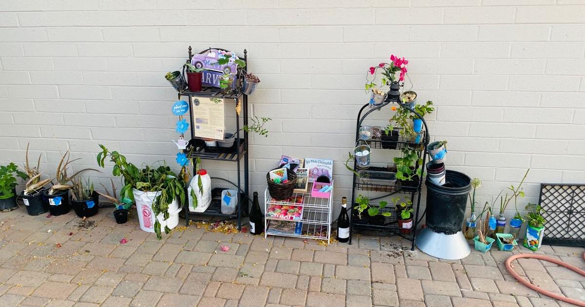 Free community garden exchange stand for Free in Scottsdale, AZ | For ...