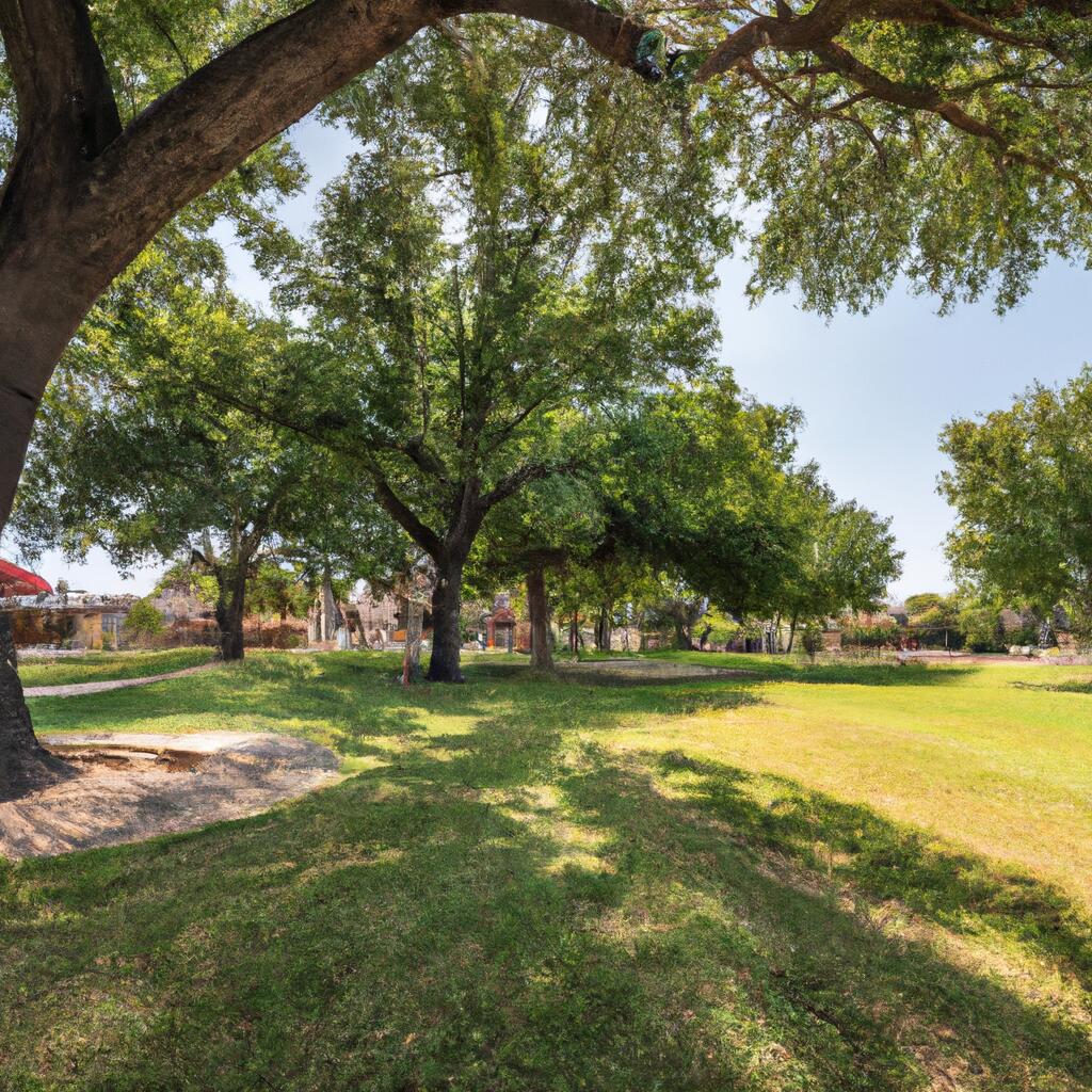 Crowley Park, Richardson | Everything You Need to Know