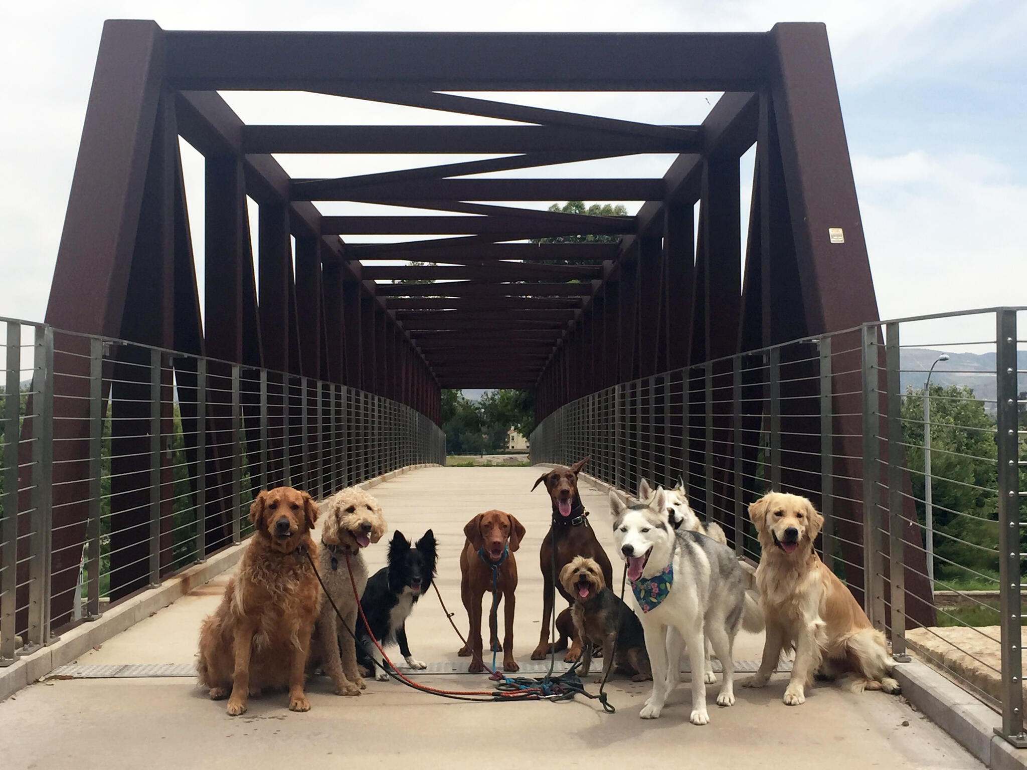 Help prioritize locations for pedestrian bridges in Irvine (City of ...
