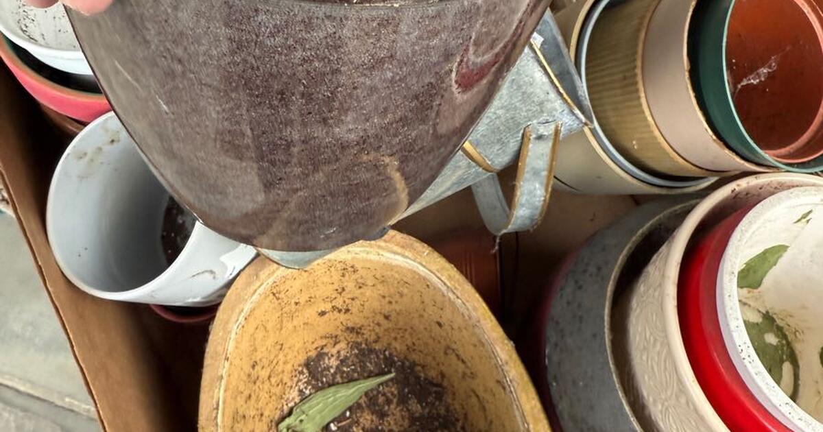 Assorted Plant Pots for Free in Wayne, PA | For Sale & Free — Nextdoor