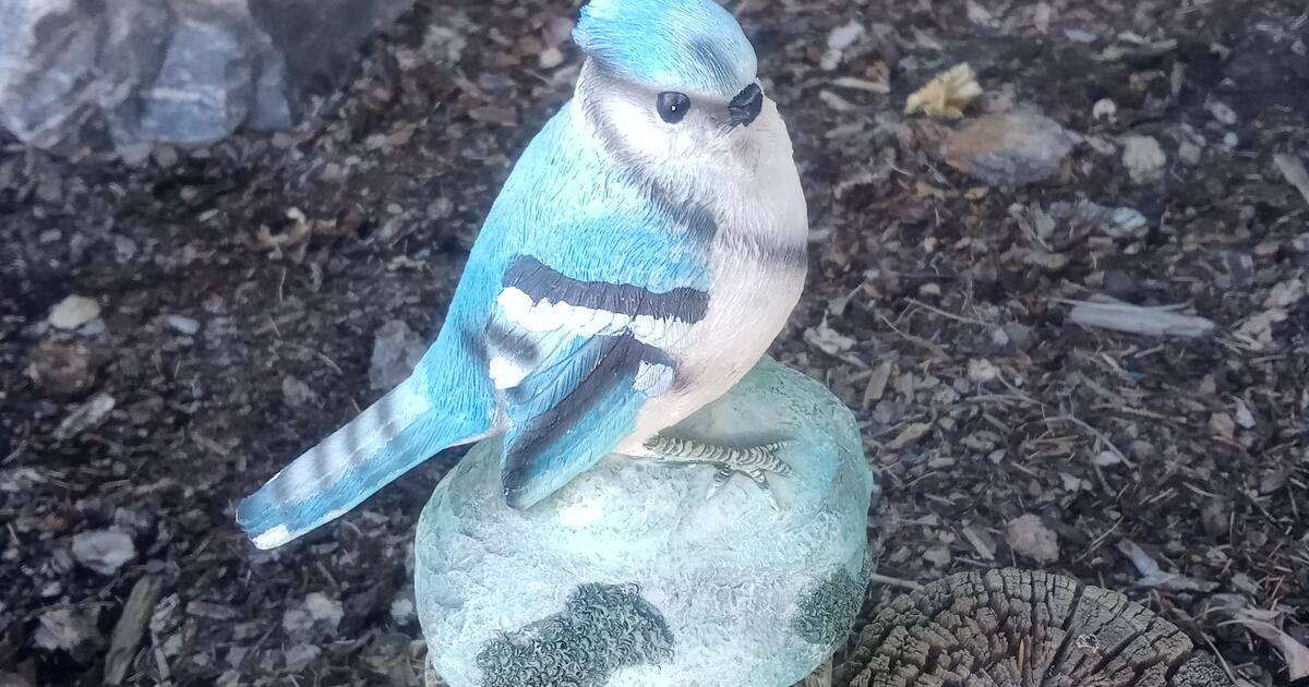 Bluejay Garden Statue for $5 in Littleton, CO | For Sale & Free — Nextdoor