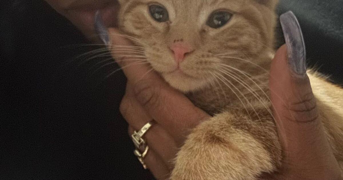 Free for Free in Allentown, PA | For Sale & Free — Nextdoor