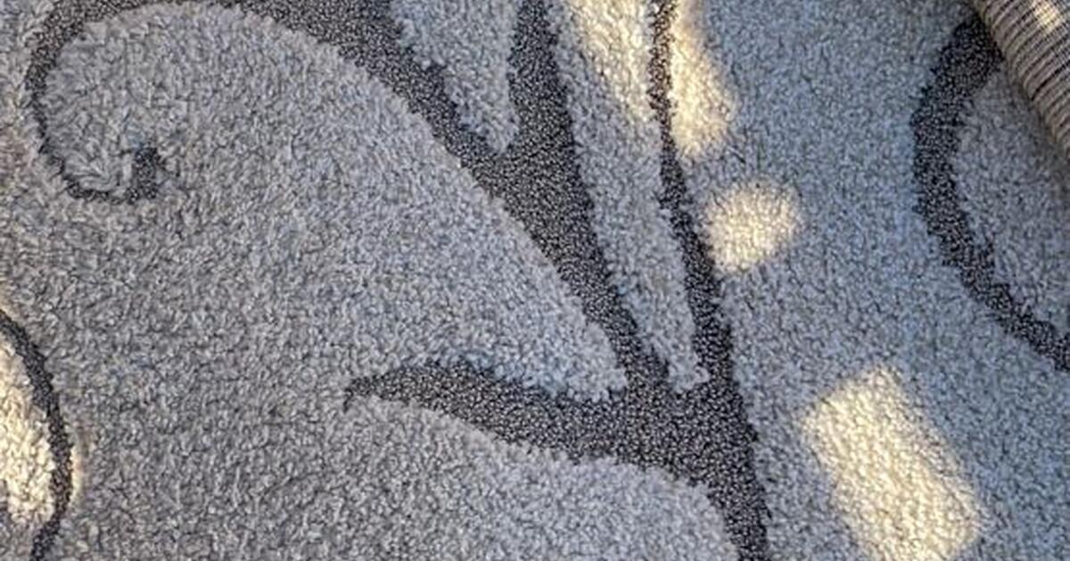 FREE area rug 8 x 10 for Free in San Diego, CA | For Sale & Free — Nextdoor