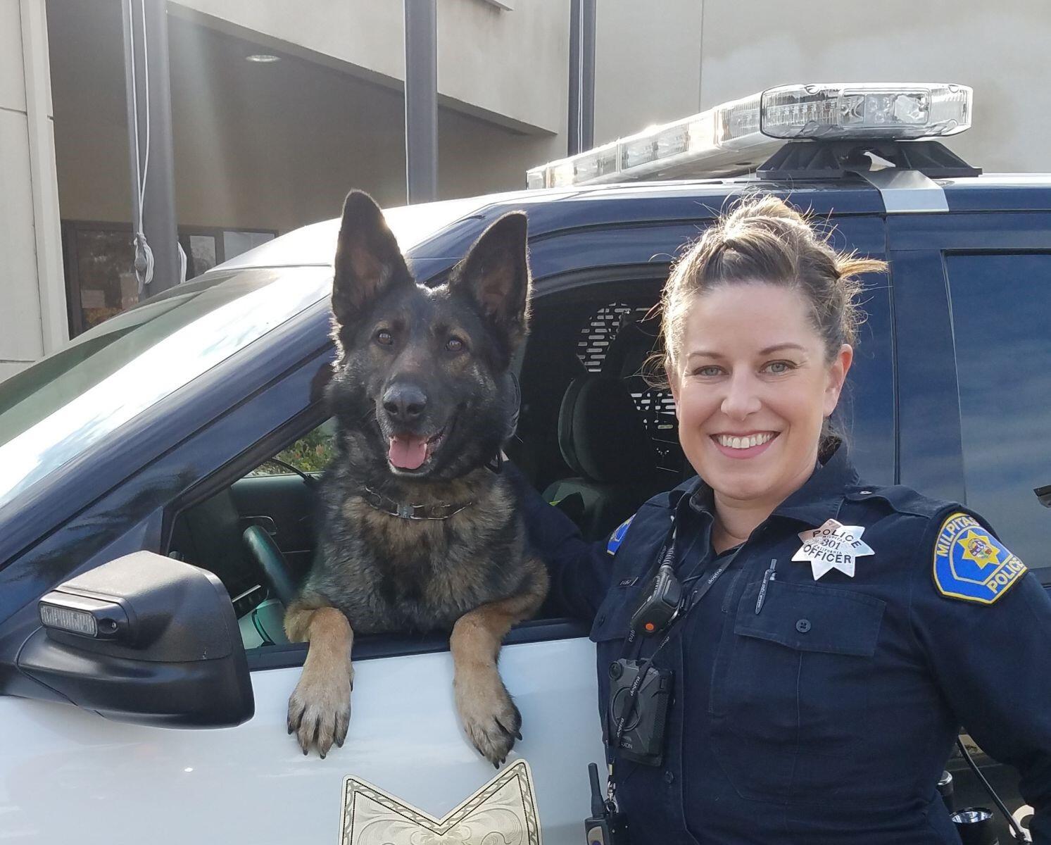 Are There Female Police Dogs