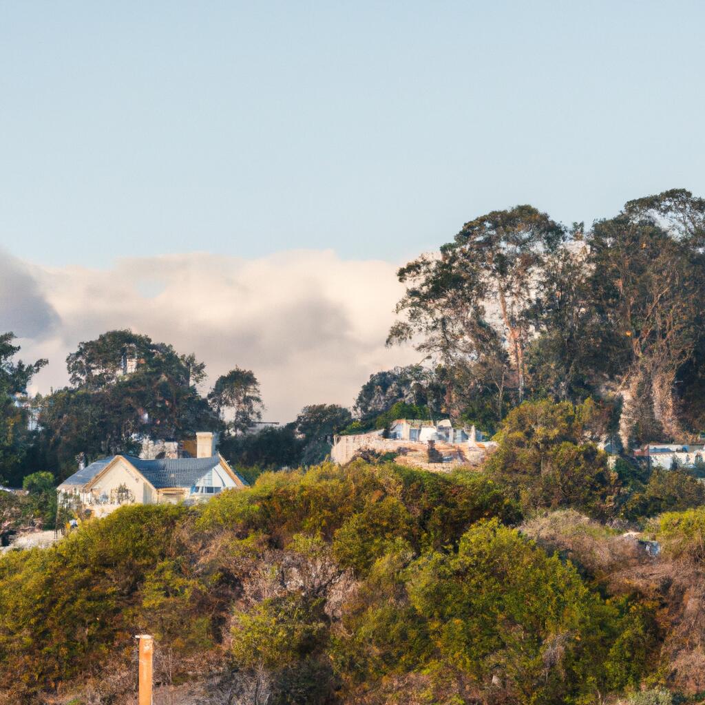 Skyline Forest, Monterey | Everything You Need to Know