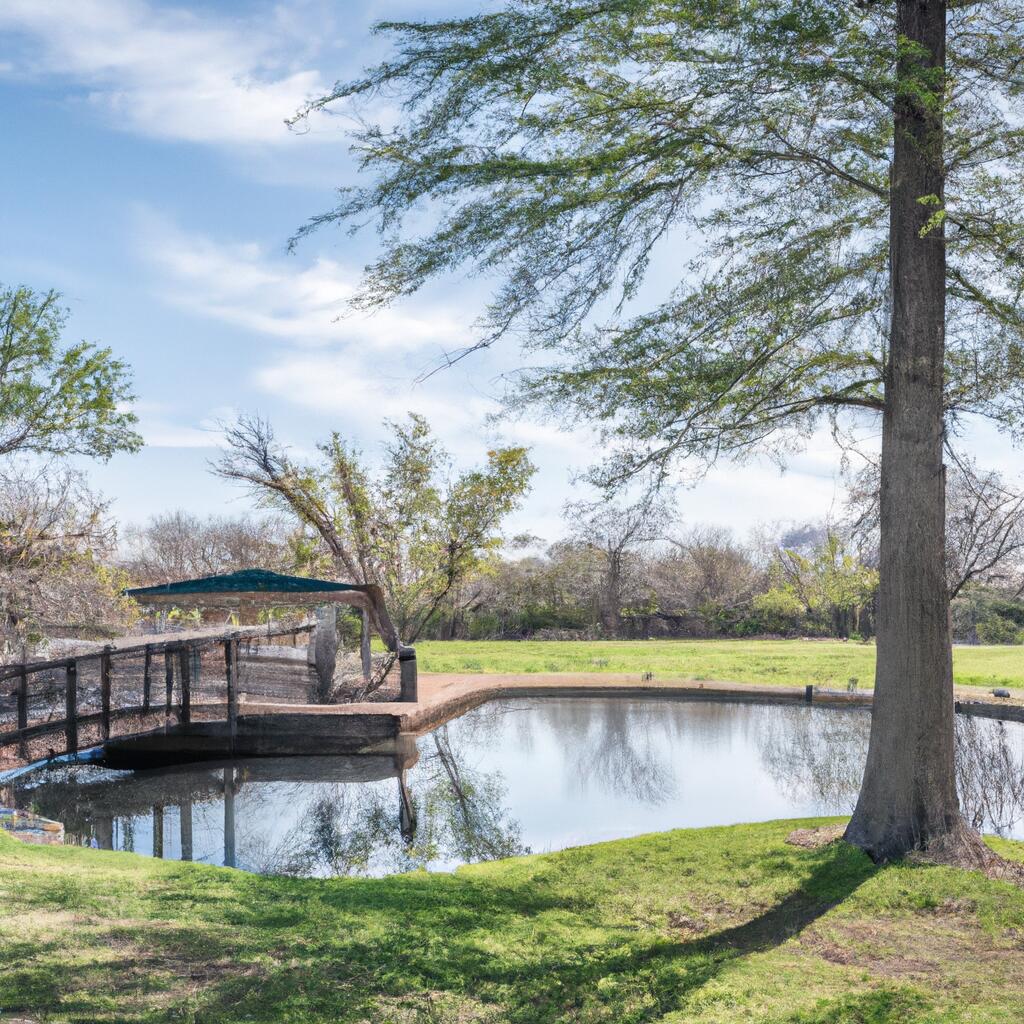 Lake Windcrest, Magnolia | Everything You Need to Know