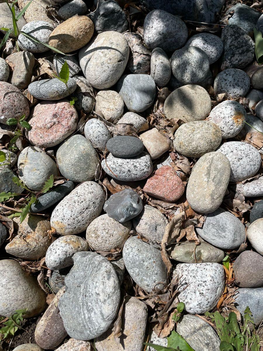 Medium sized river rock for Free in Centennial, CO | For Sale & Free ...