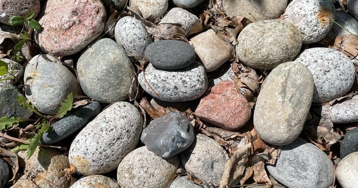 Medium sized river rock for Free in Centennial, CO | For Sale & Free ...
