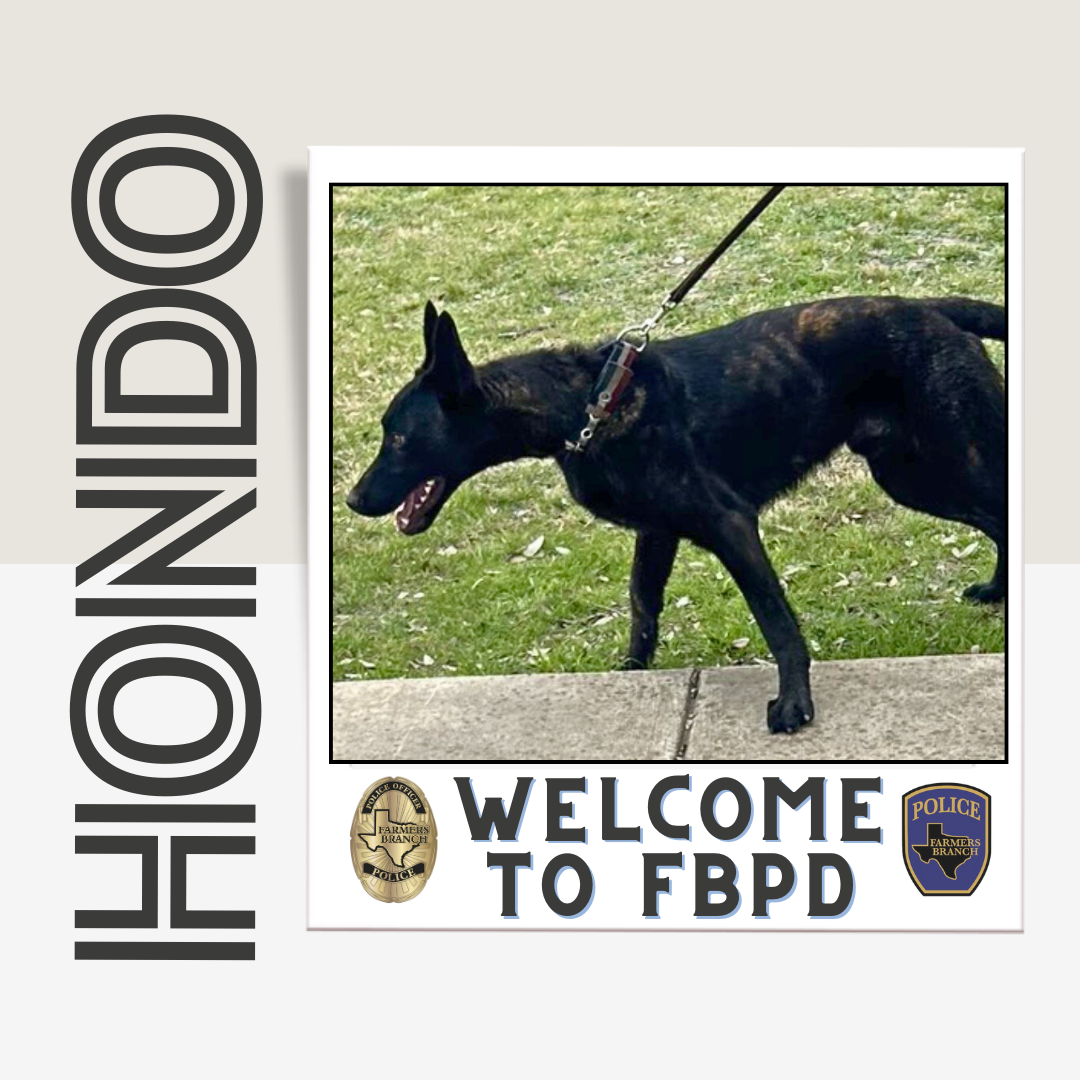 Introducing the newest Farmers Branch Police Department team member, K9 ...