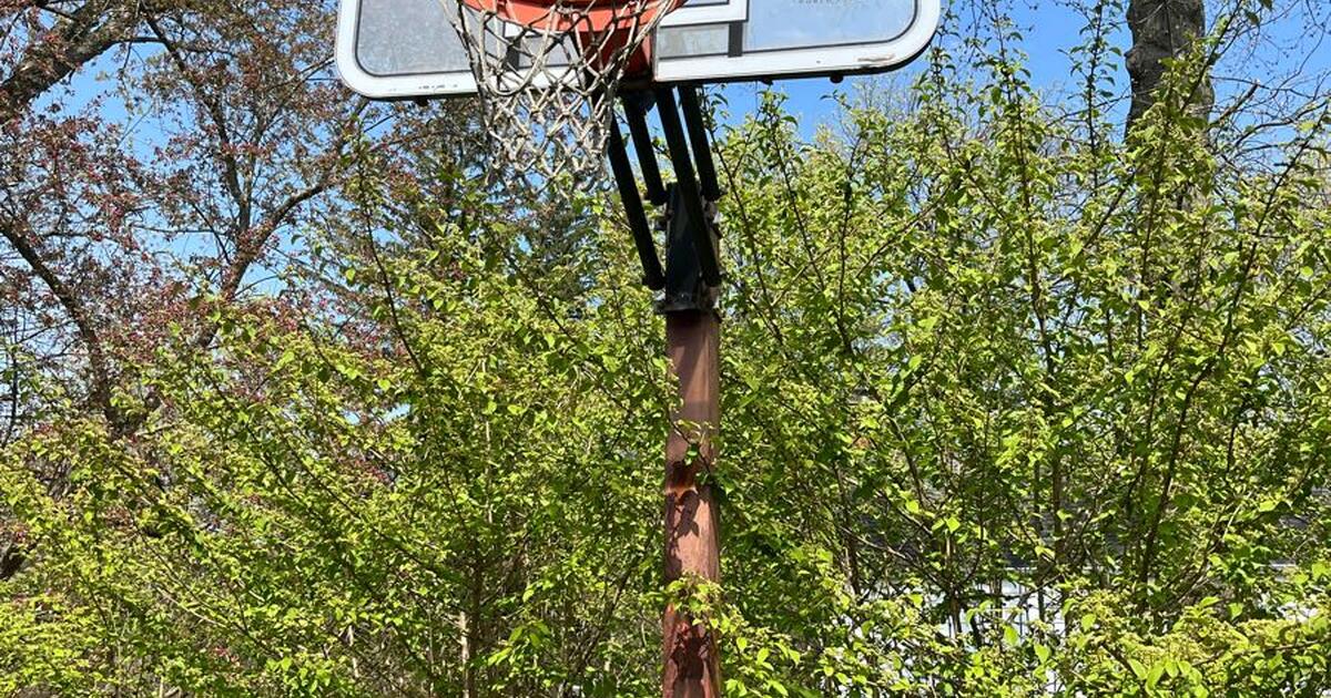 Basketball pole , backboard and hoop for Free in Slingerlands, NY | For ...