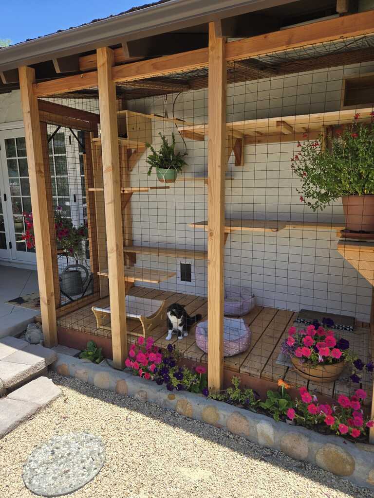 Rod creative mind - San Diego, CA - Nextdoor