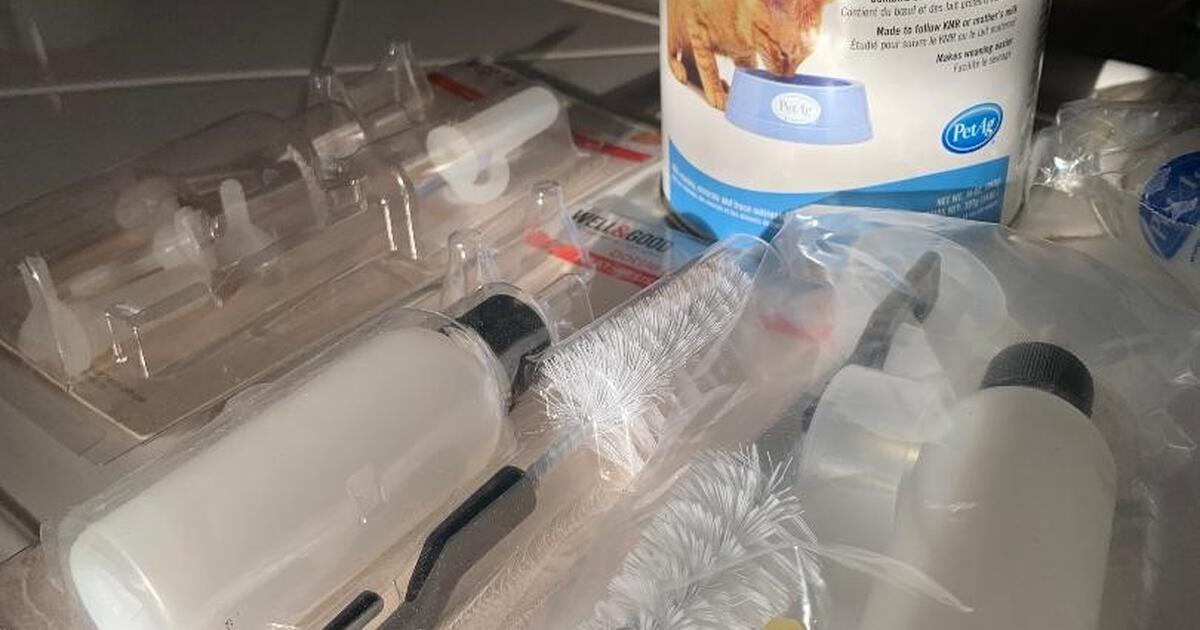 Kitten KMR 2nd step weaning formula powder and bottles for Free in ...