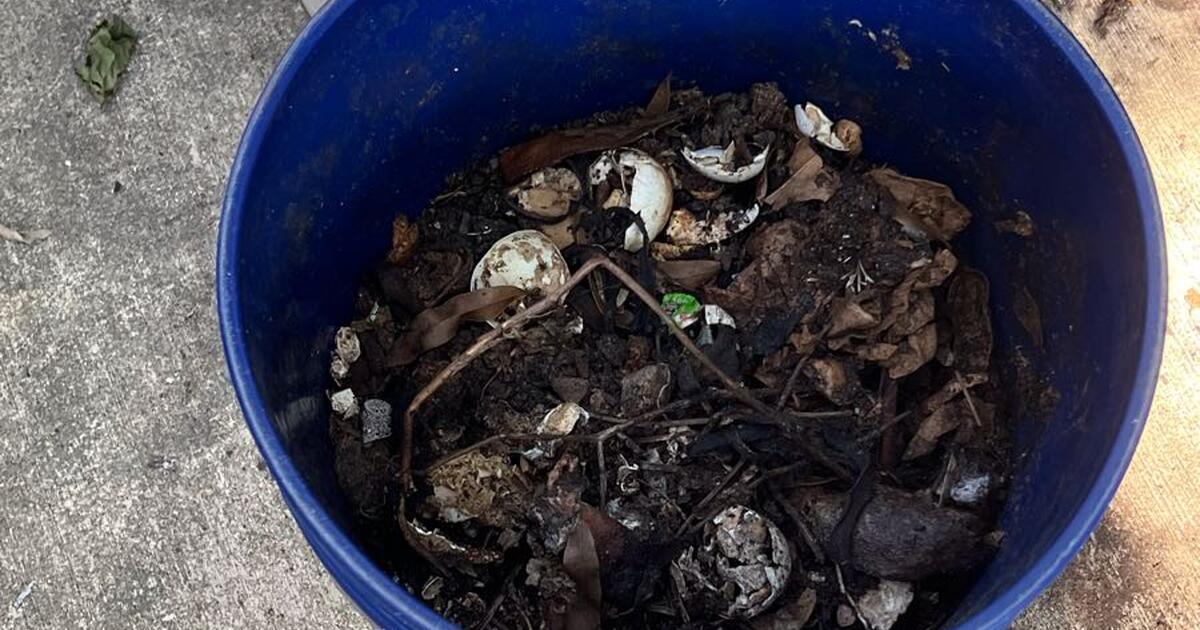 Compost for $5 in Houston, TX | For Sale & Free — Nextdoor