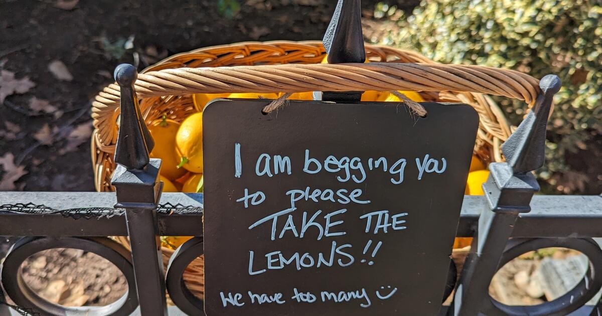 Free Meyer Lemons! for Free in Sacramento, CA | For Sale & Free — Nextdoor