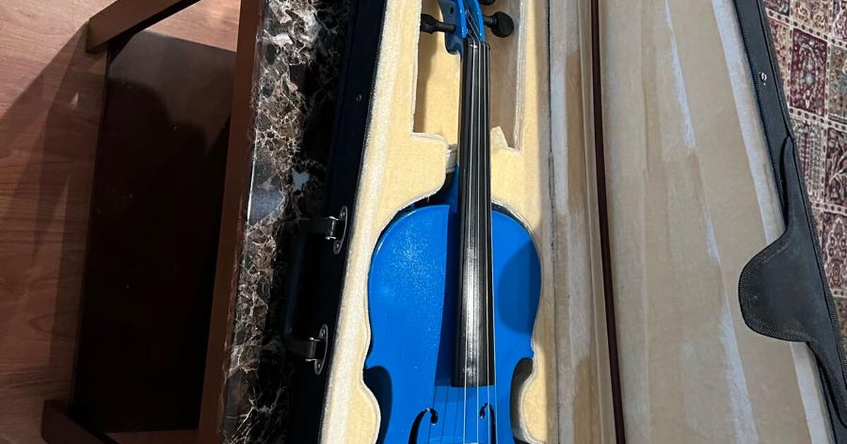 Full Size Mendini by Cecillio Viola with Case, bow and rosin for $60 in ...