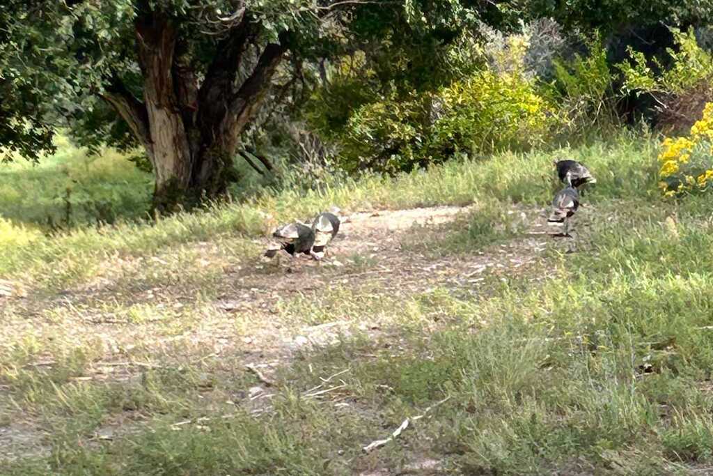 undefined - Nextdoor