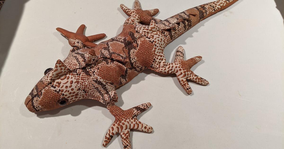 Bean filled stuffed lizard for $8 in Webster Groves, MO | For Sale ...