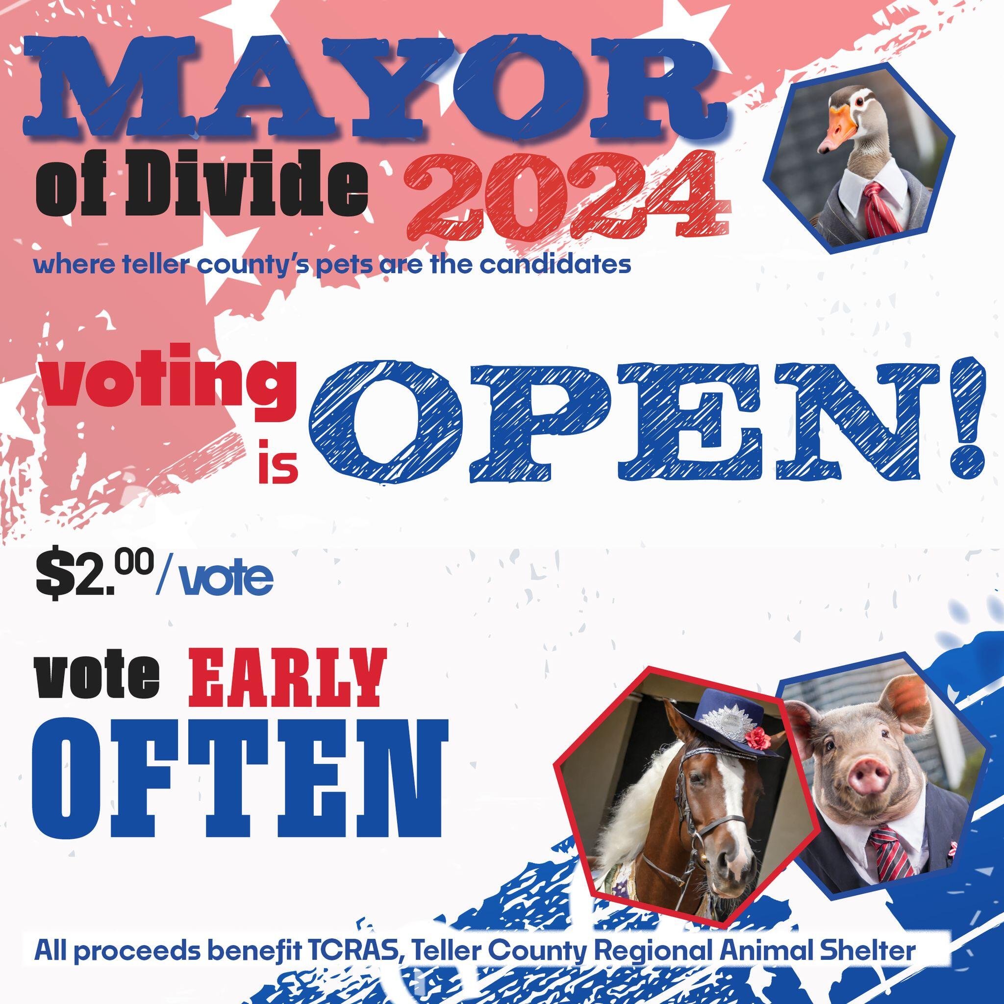 VOTING is OPEN! (Teller County Sheriff's Office) — Nextdoor — Nextdoor