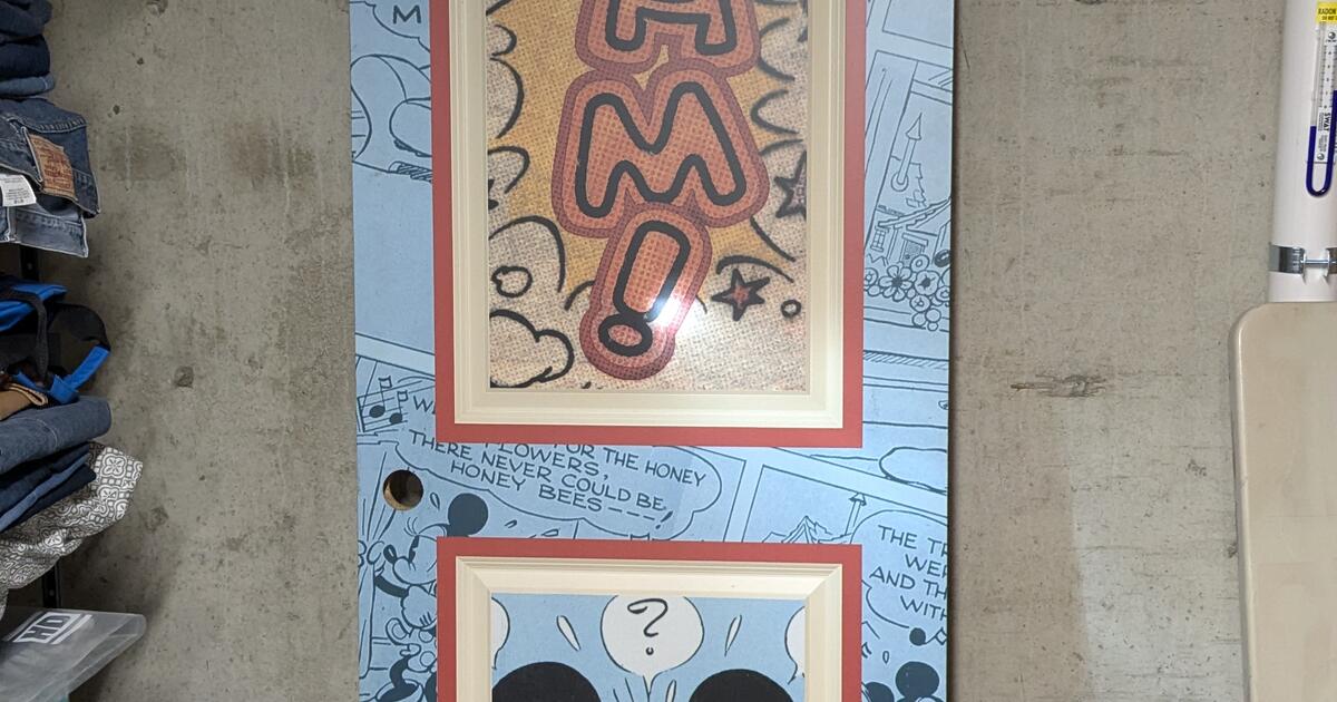 Decorative Comic Door 2 sided for Free in Lakewood, CO | For Sale ...
