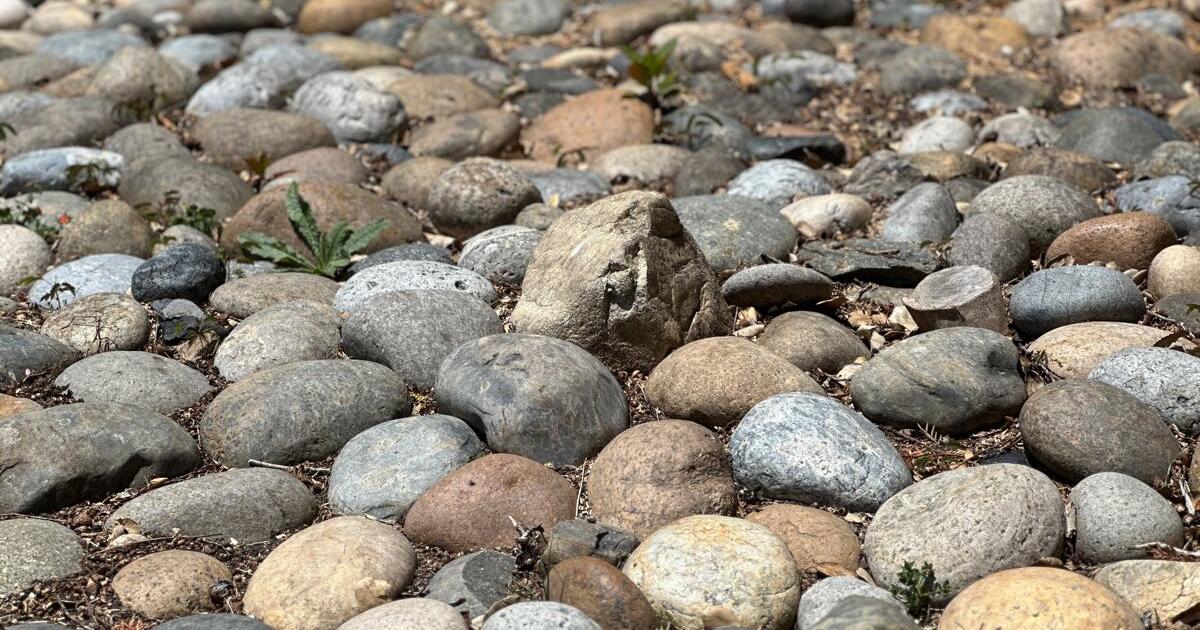 Free River Rocks! for Free in Danville, CA | For Sale & Free — Nextdoor