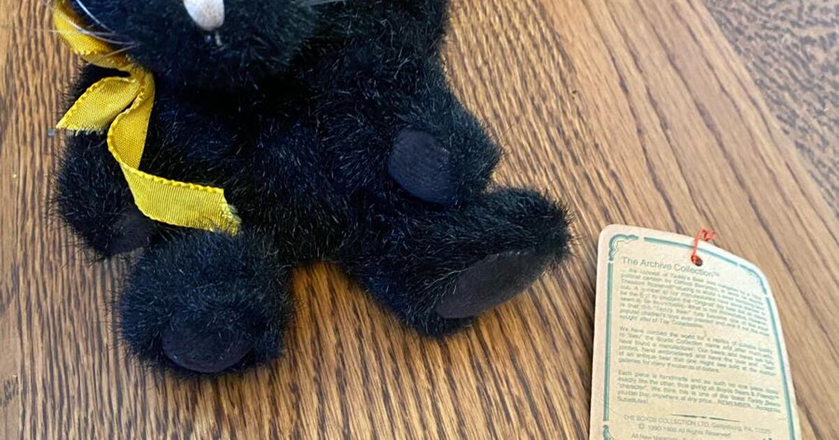 Black Plush Boyd Cat with Tag for $4 in Apex, NC | For Sale & Free ...