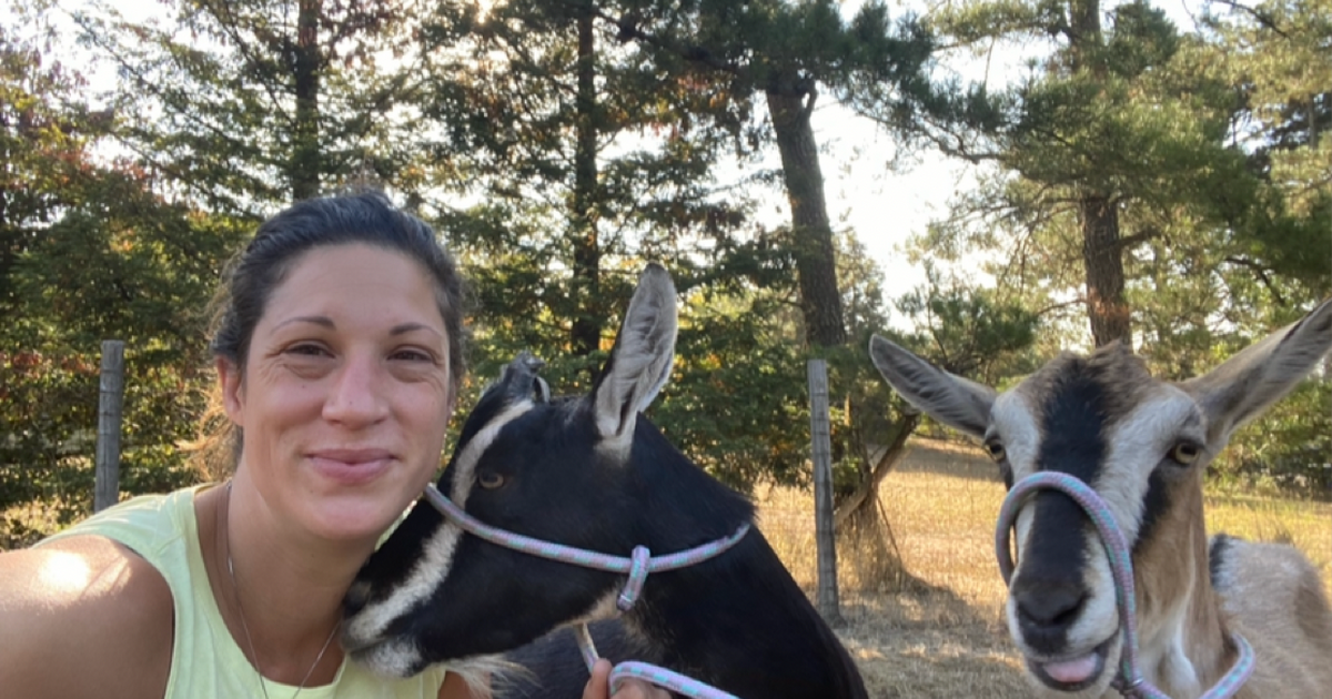 2 neutered PET goats sweethearts! for Free in Santa Rosa, CA | For Sale ...