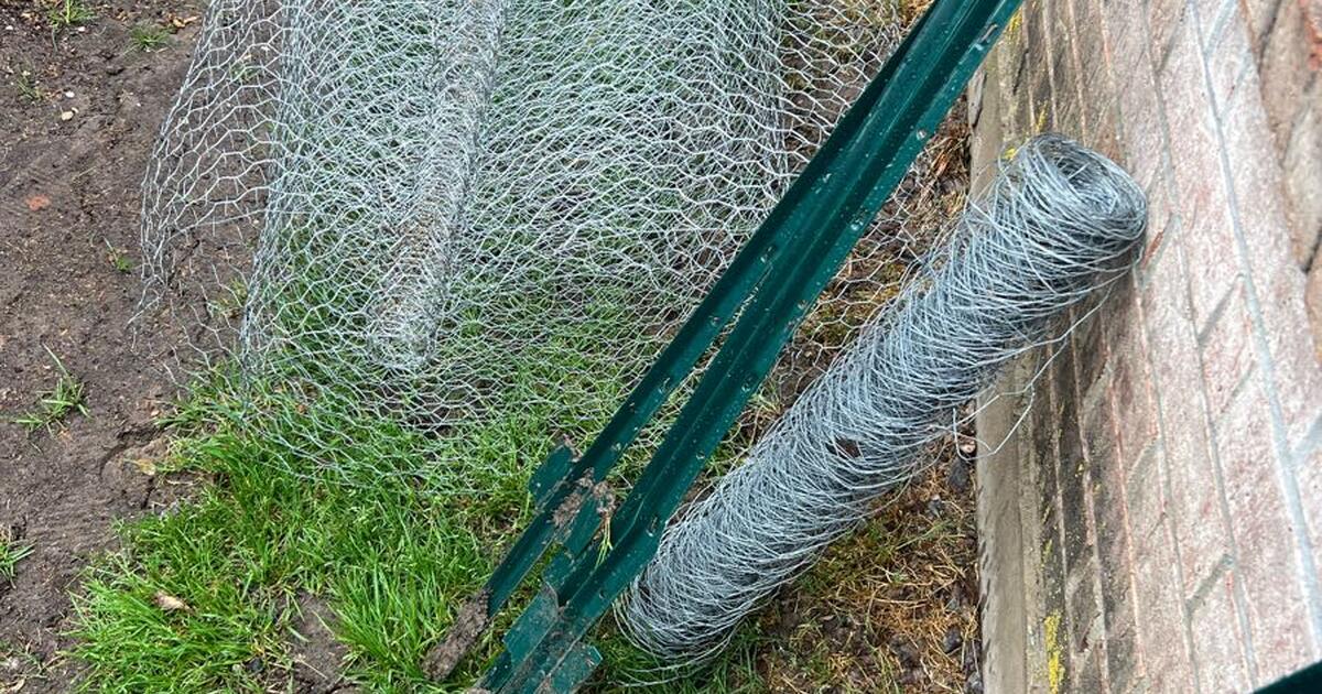 Chicken wire & posts for Free in Little Elm, TX | For Sale & Free ...