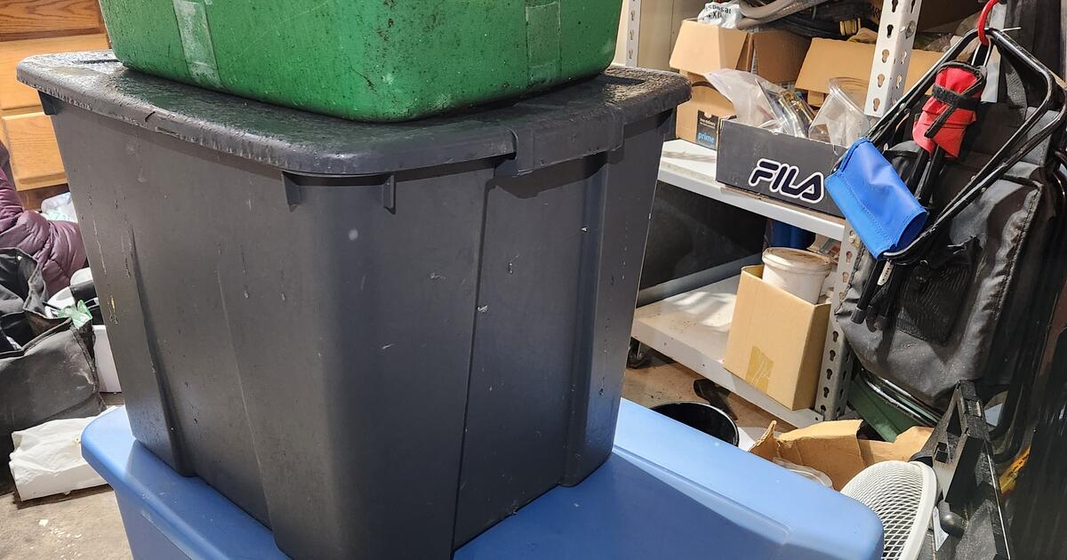 Set of 4 Storage Bins for Free in Lake Forest Park, WA | For Sale ...