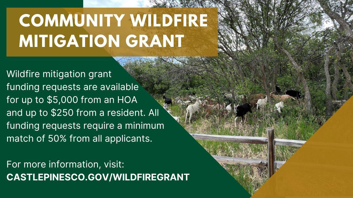 Applications for the City's annual Wildfire Mitigation Grant program ...
