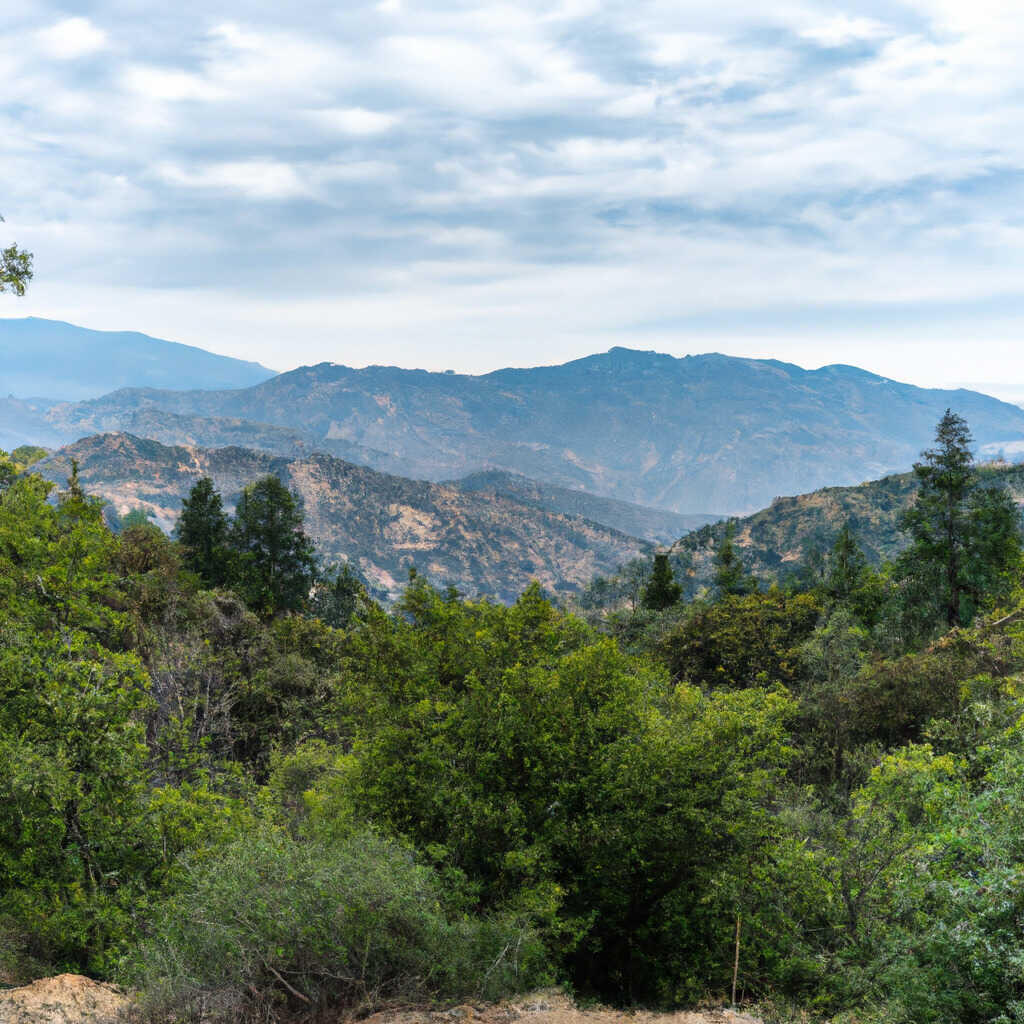 Things to do in Angelus Oaks with kids