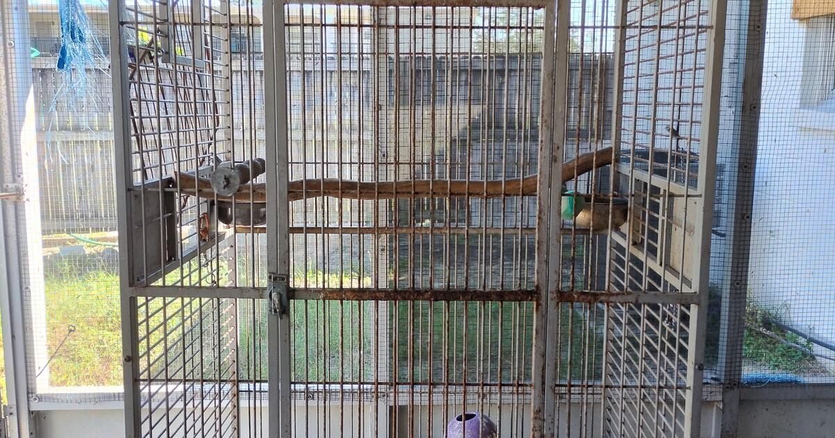 Large Metal Bird Cage for Free in Port Richey, FL | For Sale & Free ...