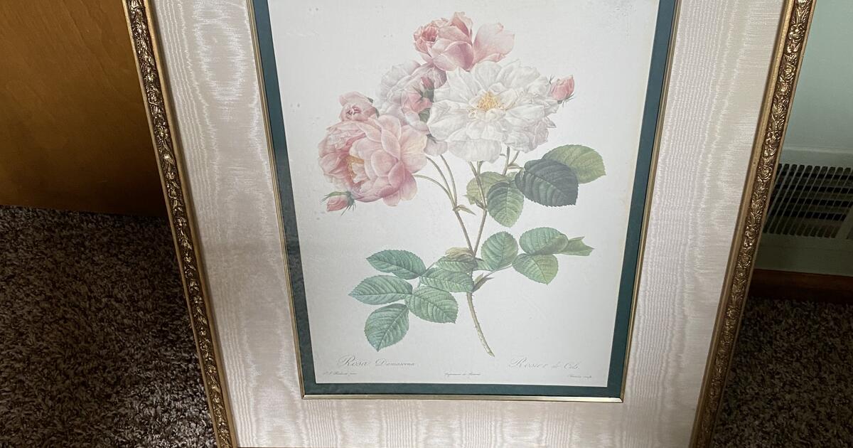 Collectible Art Flowers painting/ print by PJ Redoute for $60 in ...