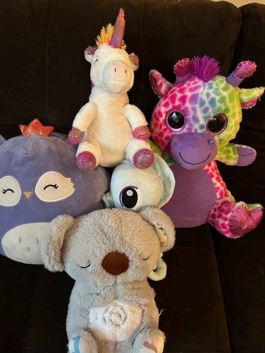 Plush Toy Collection for Free in Wesley Chapel, FL | For Sale & Free ...