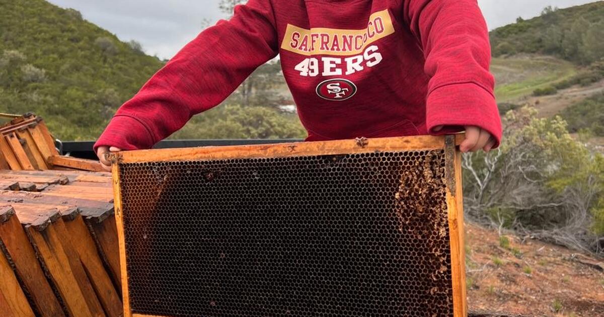 🐝BAILEY BEE CO🐝 for $15 in El Dorado, CA | For Sale & Free — Nextdoor