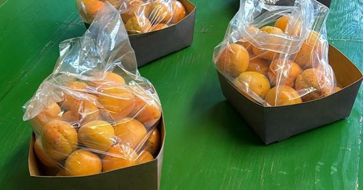 Apricots at Tomich Silvergreen Farm for $2 in Orangevale, CA | For Sale ...