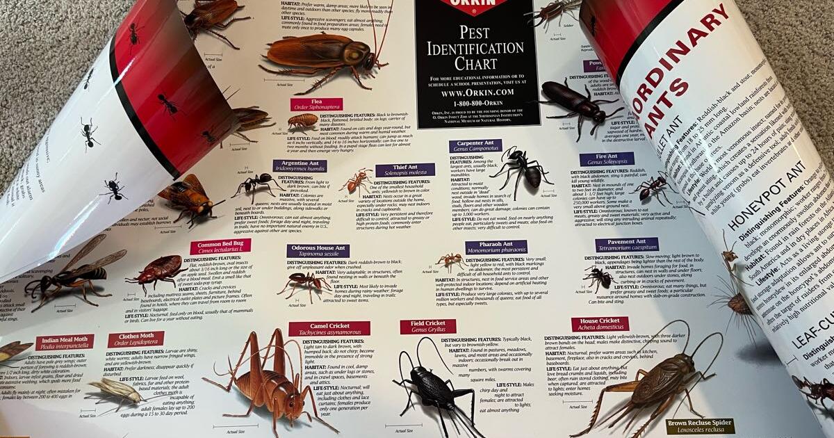 Bug posters for Free in Centennial, CO | For Sale & Free — Nextdoor