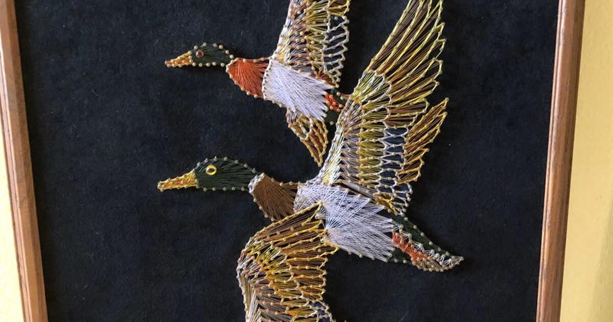 Mallard string art made this with my own hands in Sun City, AZ | For ...