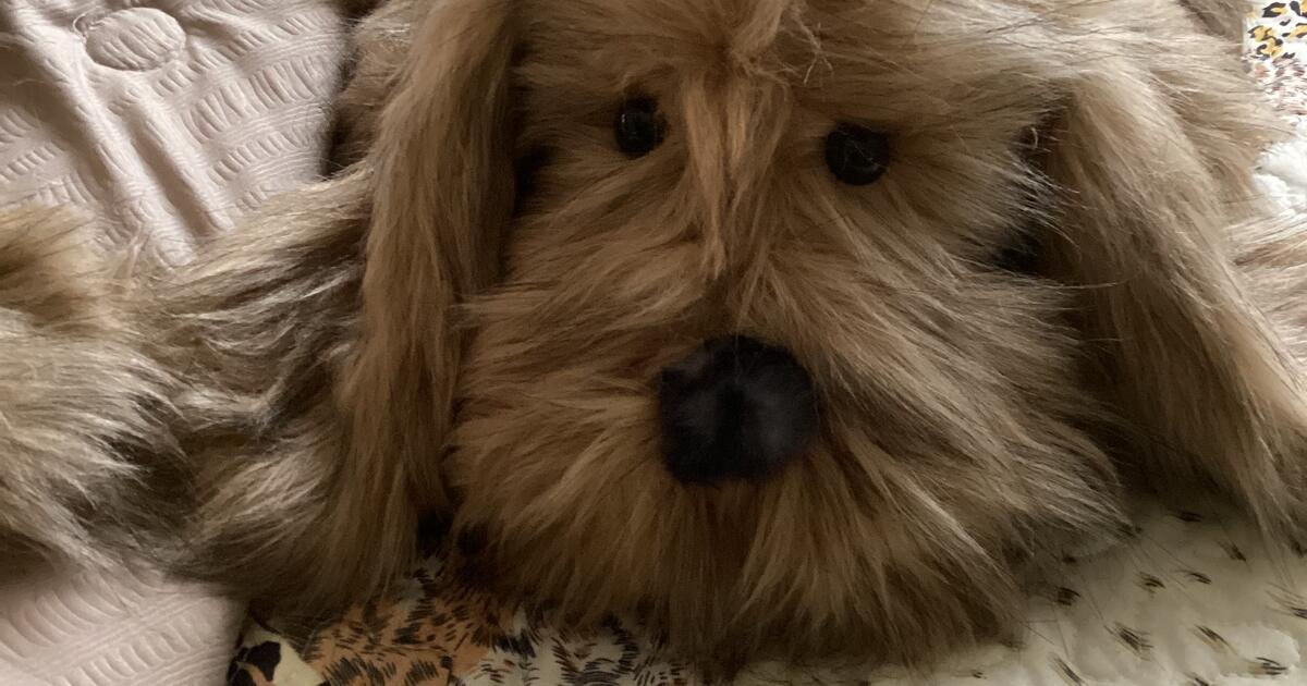 I make and hand sew pound puppies, and teddy bears.prices from $50. and ...