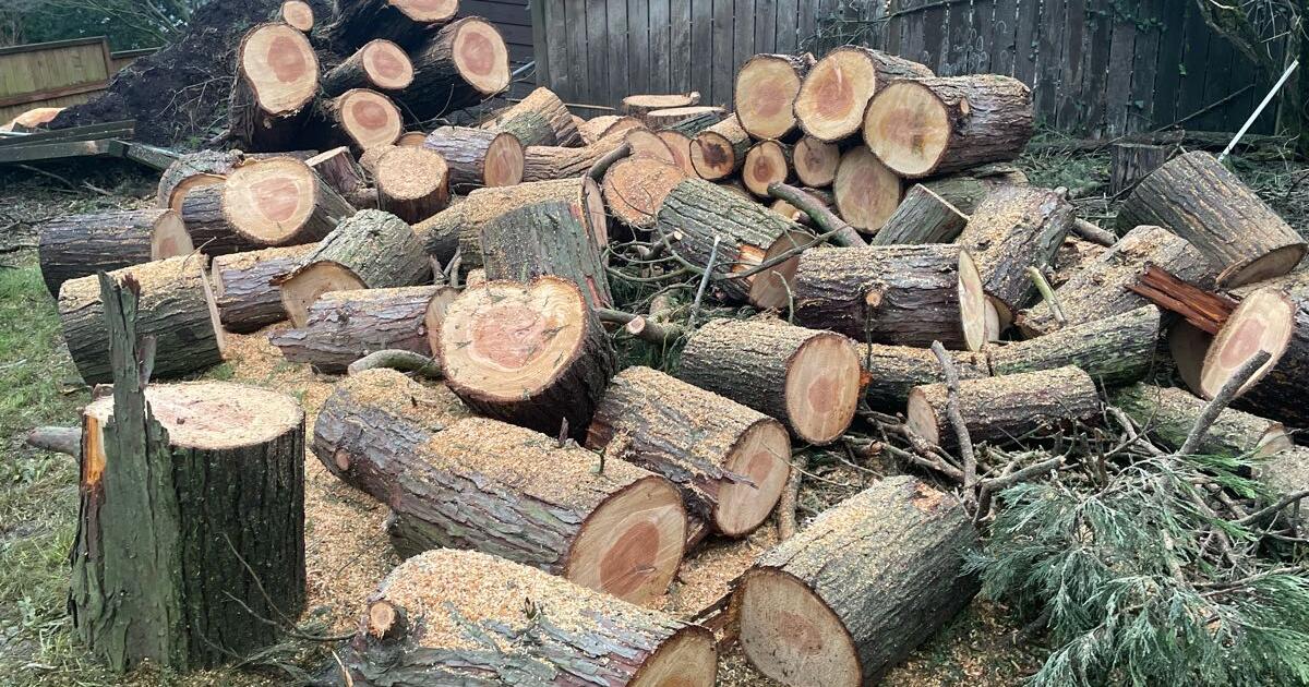 Cedar rounds/ firewood. for Free in Portland, OR | For Sale & Free ...