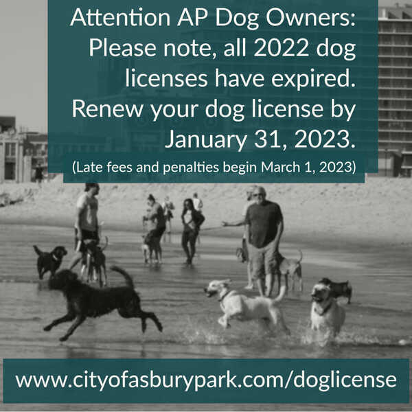 Attention AP Dog Owners: Dog License Renewals Due 1/31/23 (City of ...