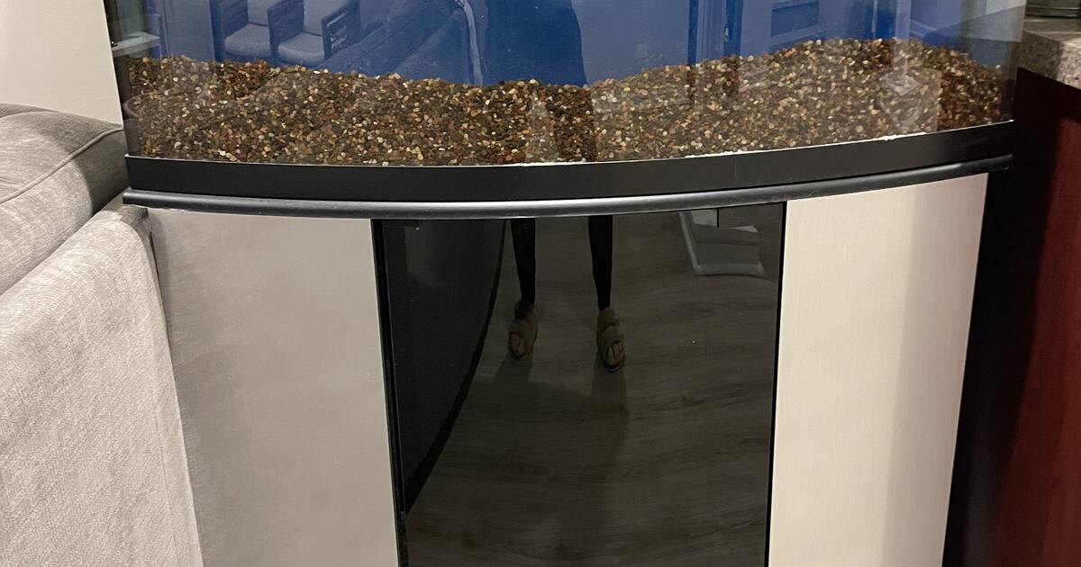 Free large fish tank and fish for Free in Wilmette, IL | For Sale ...