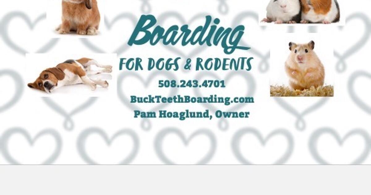 Buck Teeth Boarding for Dogs only for $65 in Plymouth, MA | For Sale ...