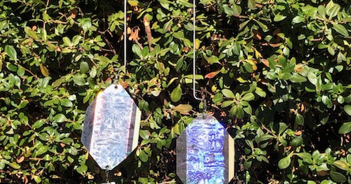 Woodpecker Intimidator for $20 in Grass Valley, CA | For Sale & Free ...