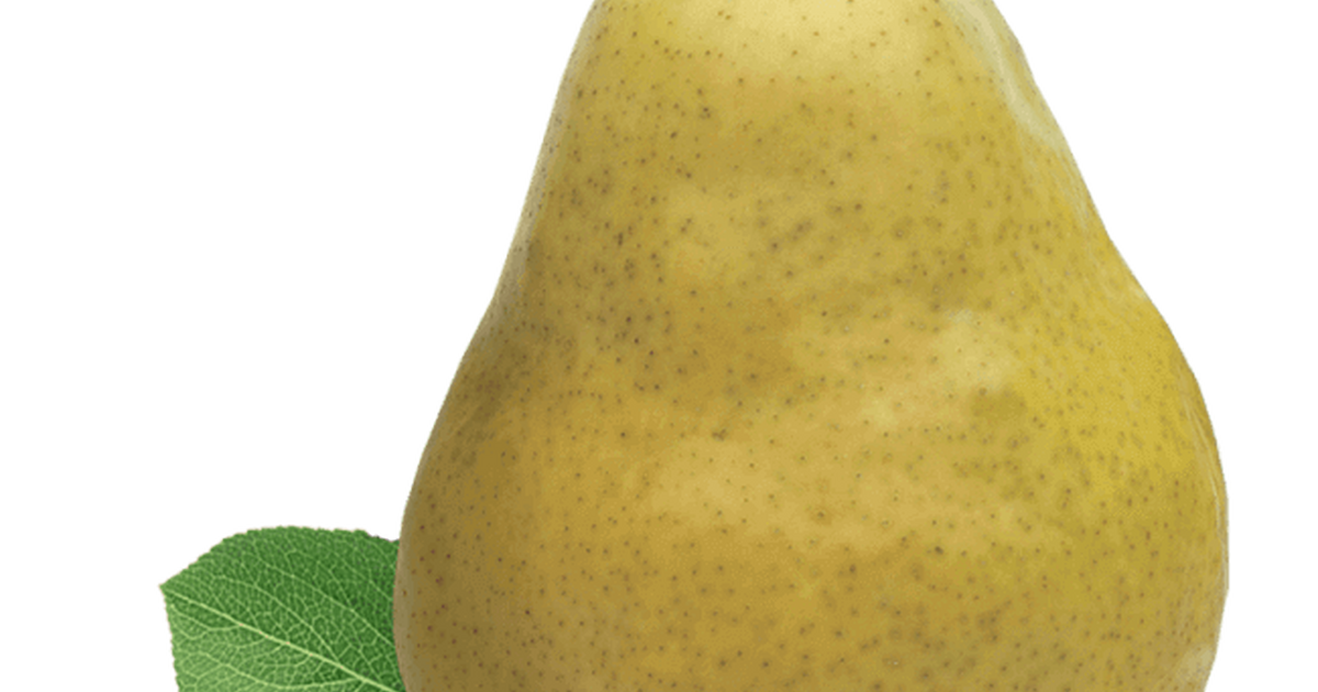 Free Pears by the bucket for Free in Aiken, SC | For Sale & Free — Nextdoor