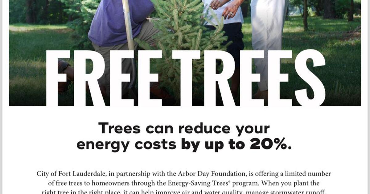 Free Trees for Free in Fort Lauderdale, FL | For Sale & Free — Nextdoor