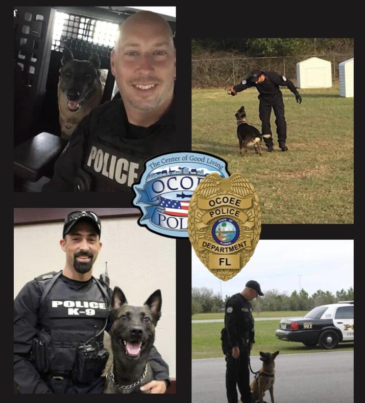 National Take Your Dog To Work (Ocoee Police Department) — Nextdoor ...